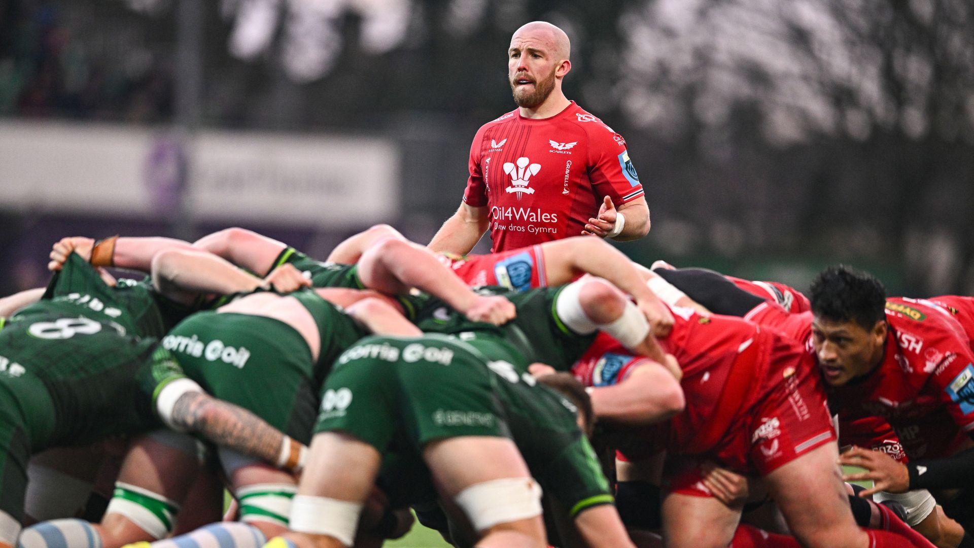 Clic | Clwb Rygbi | Connacht v Scarlets
