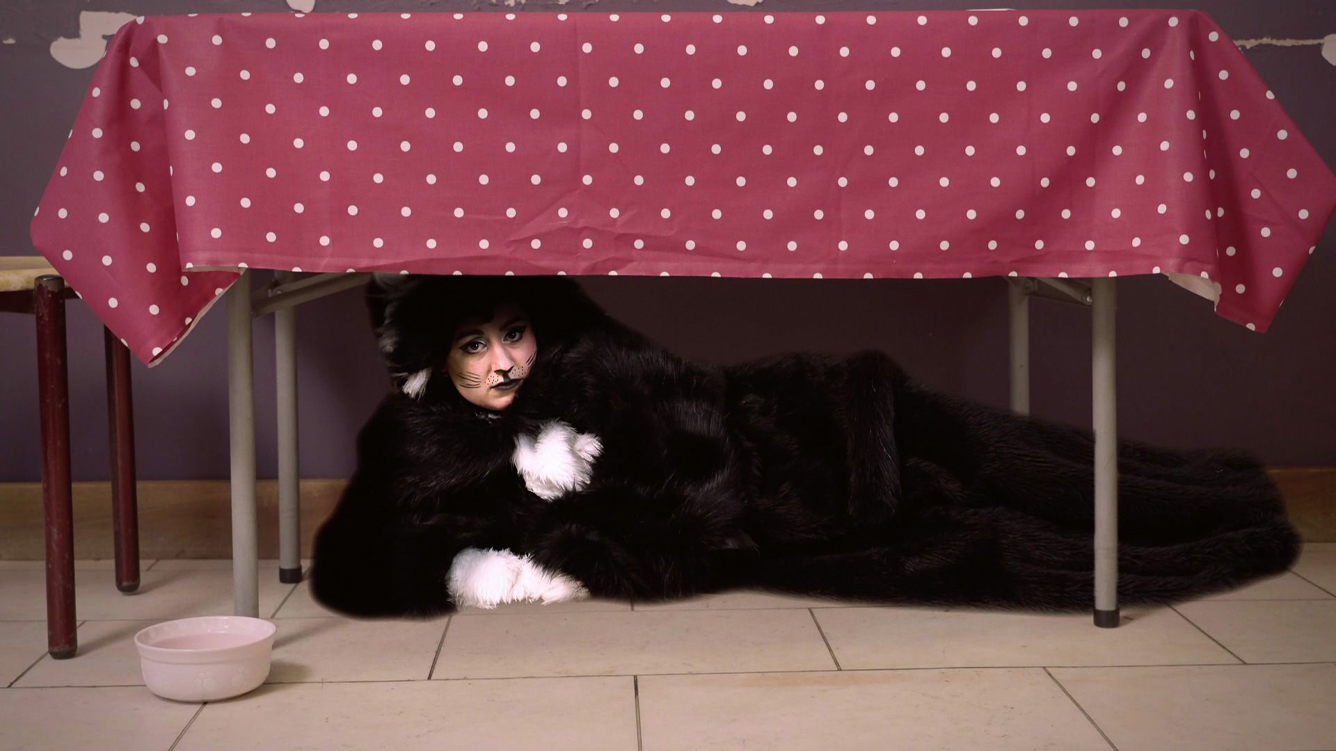 Curadur - Cyfres 3 | Heledd Watkins | S4C Clic