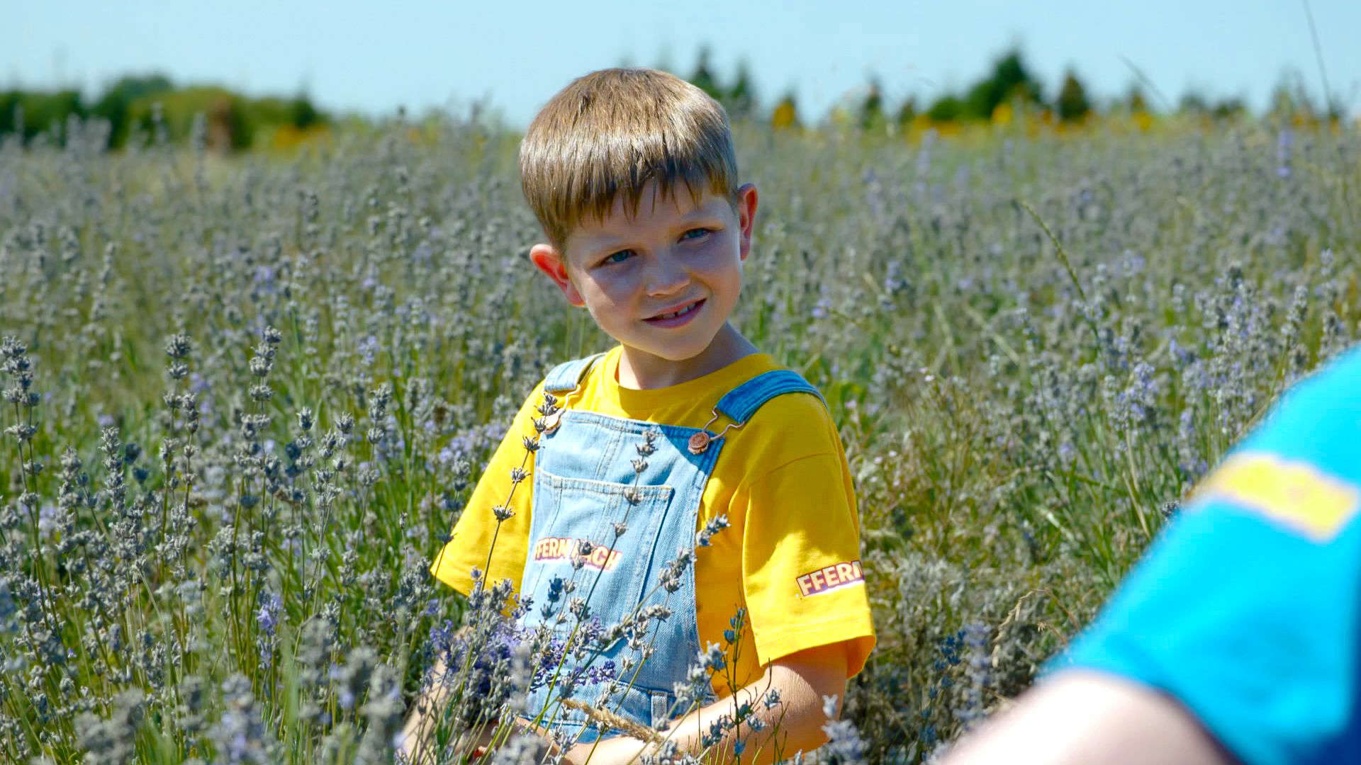 Fferm Fach | Lafant | S4C Clic