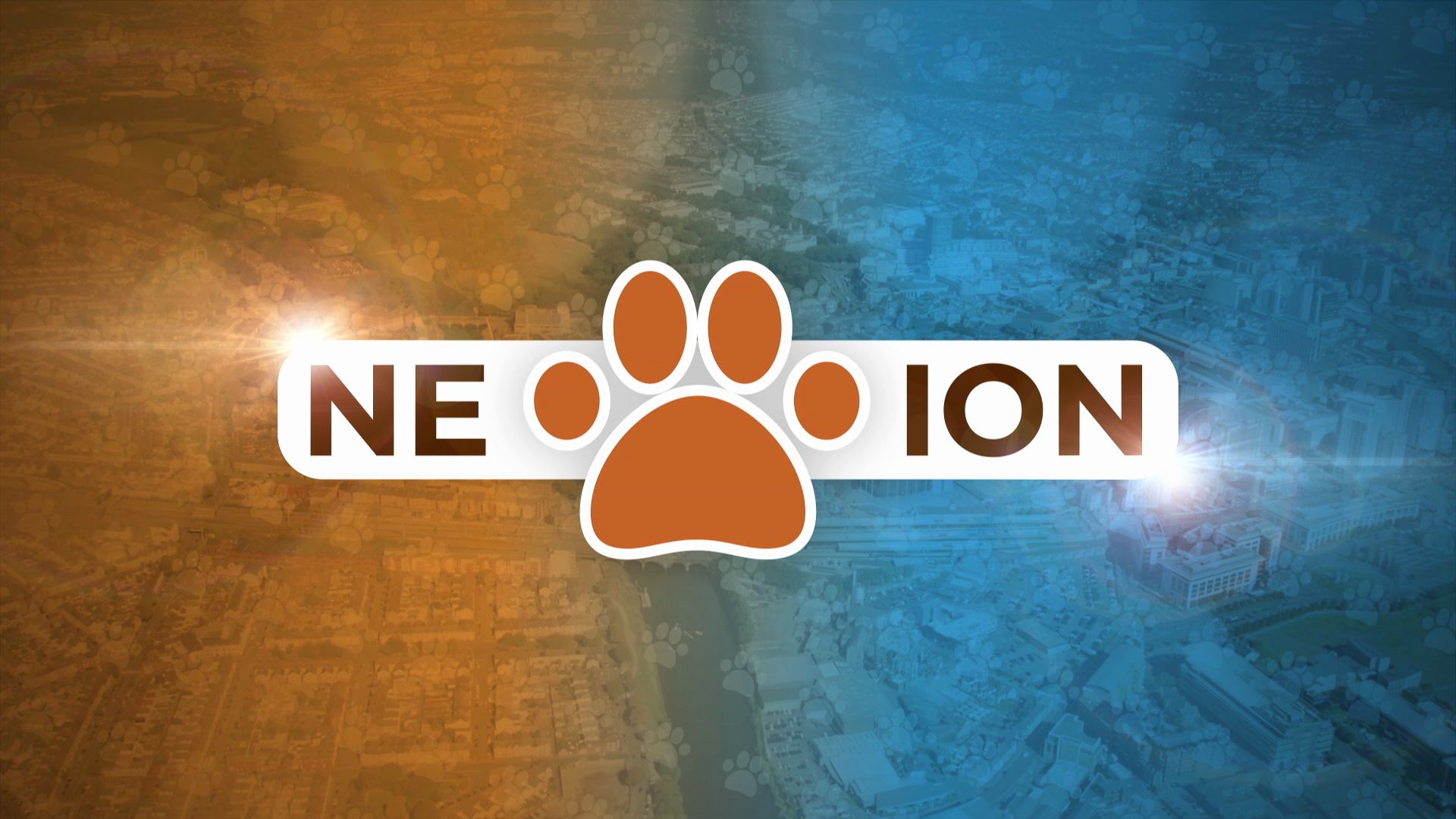 Ne-wff-ion | 27 Mehefin 2025 | S4C Clic