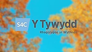 Dal i Fyny | Dydd Sadwrn 20 Rhag | S4C Clic